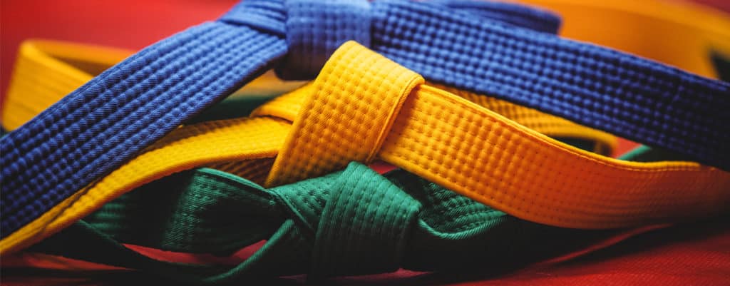 Equipement & matériel de Judo - Daisho : judogi (kimono), ceintures ...