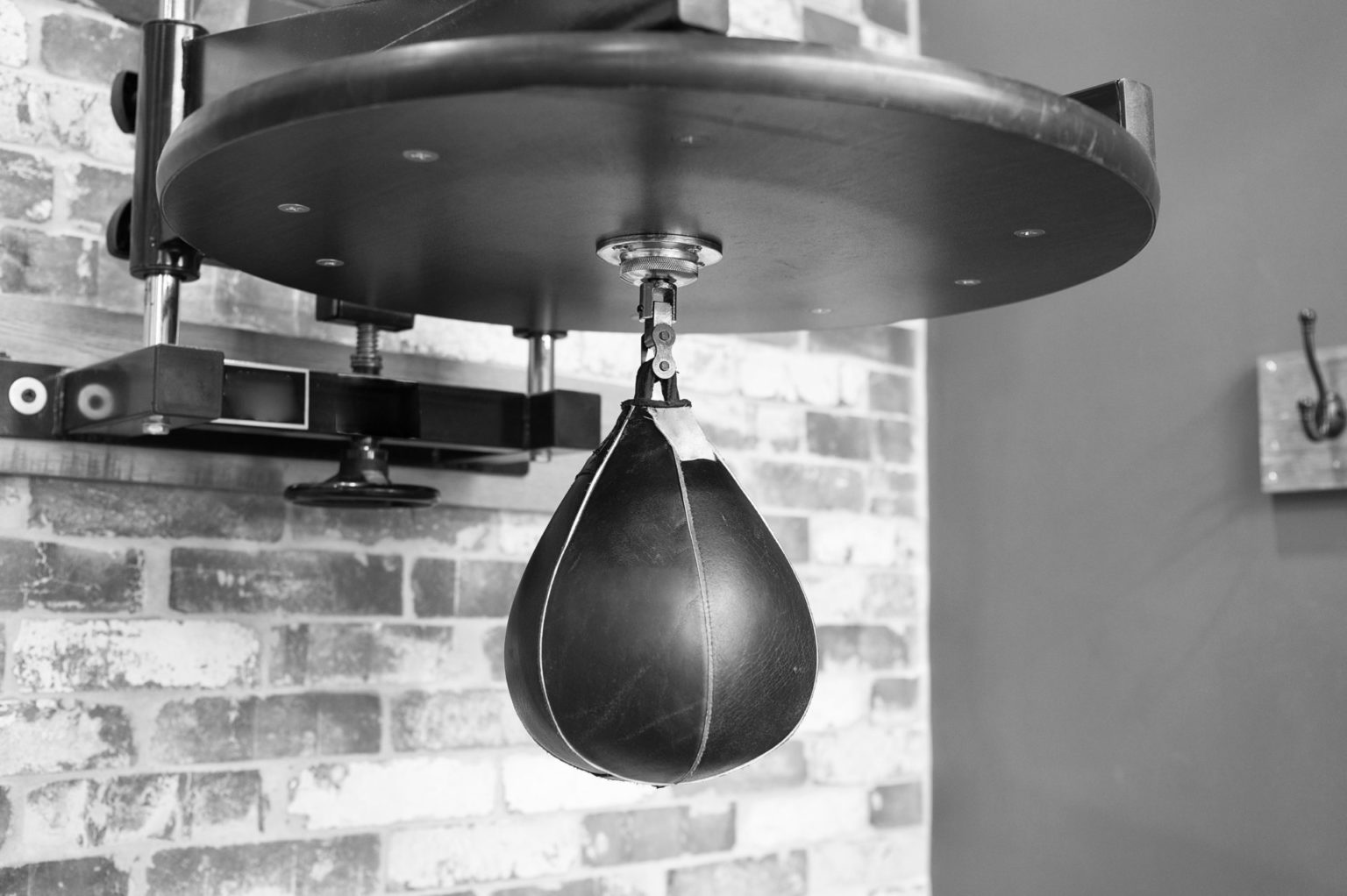 Punching-ball : quels sont ses avantages pour s'entraîner ? | Daisho