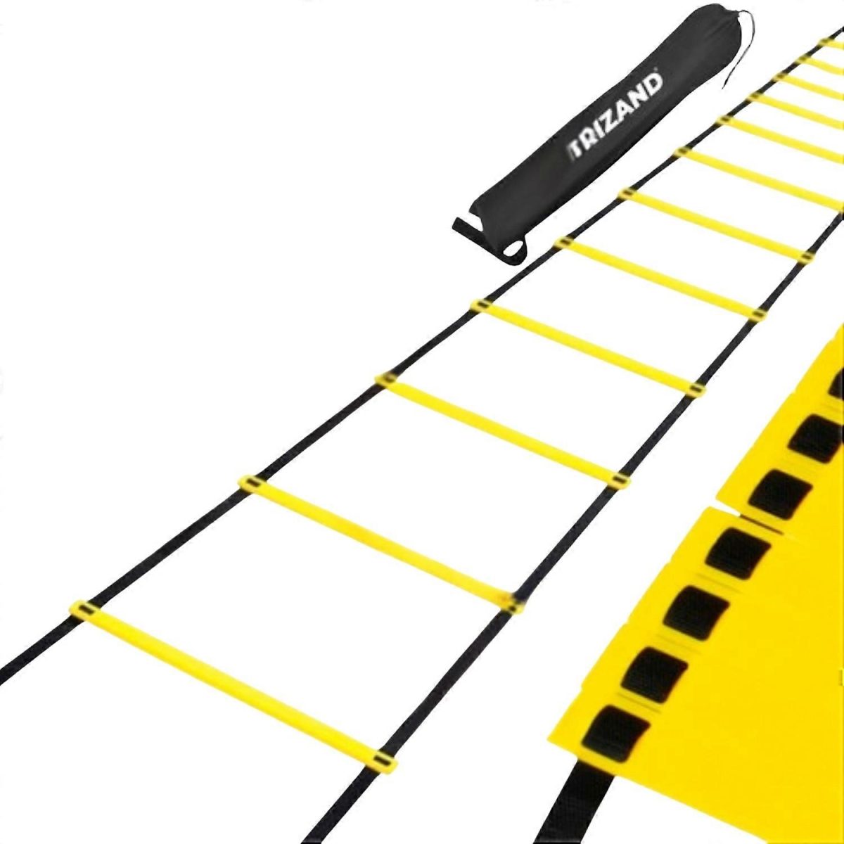 Training scale – Daisho